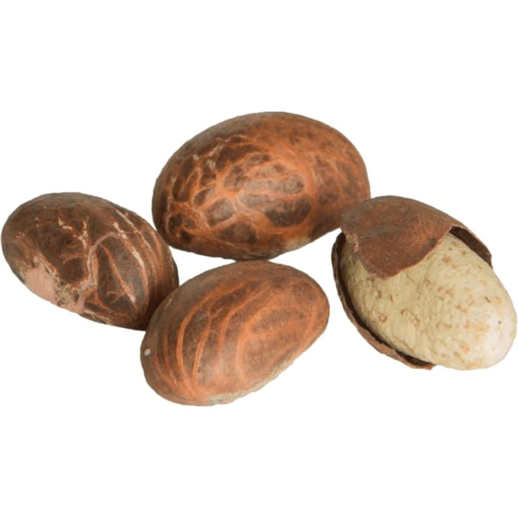 BITTER KOLA 1 PACK (78g -100g) - Afrimartuk